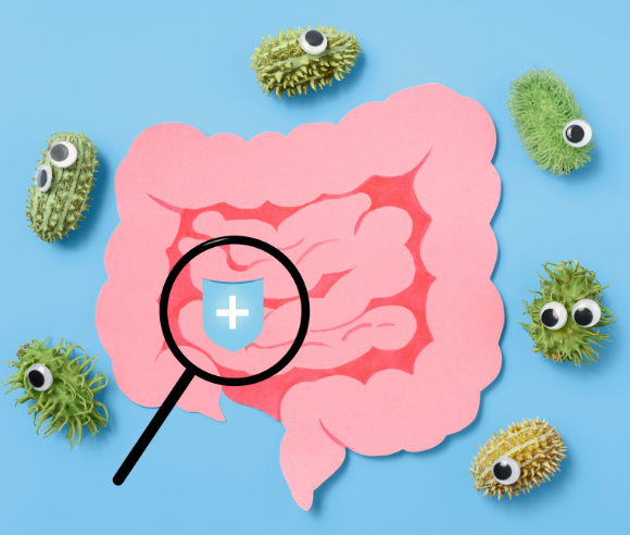 Lactiplantibacillus plantarum 299v®: A Probiotic Hero – GoodBelly